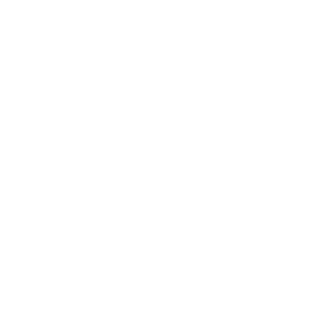 Home - Michel Falcon